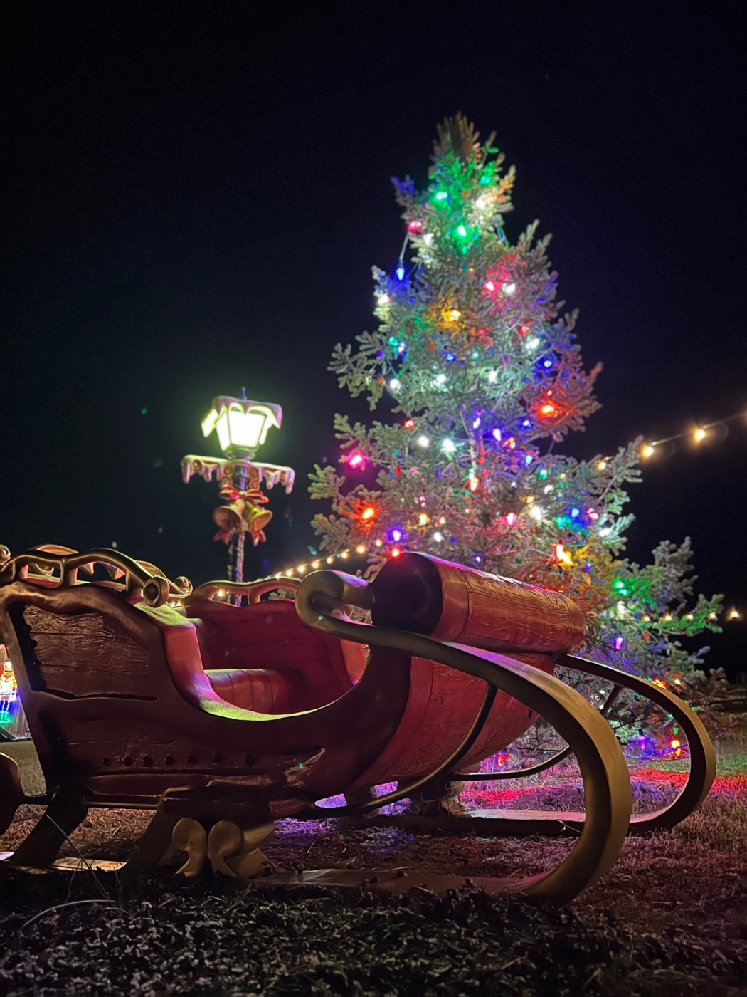 Night Pass | The Reindeer Farm